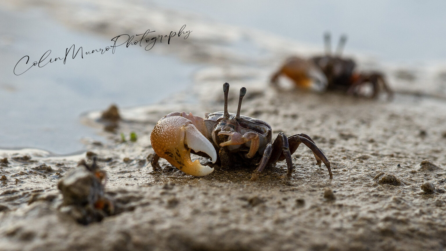 colinmunrophotography.com/blog - My photography blog, covering recent ...