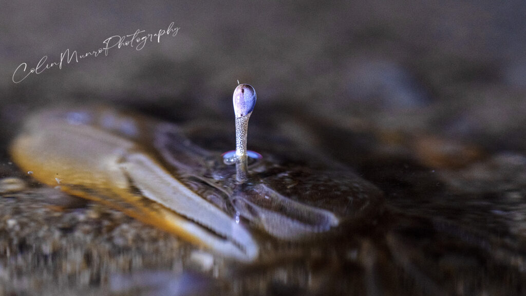 colinmunrophotography.com/blog - My photography blog, covering recent ...