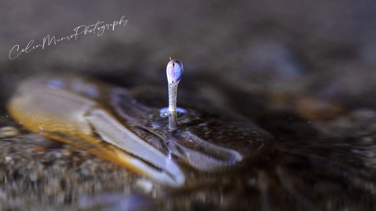 colinmunrophotography.com/blog - My photography blog, covering recent ...